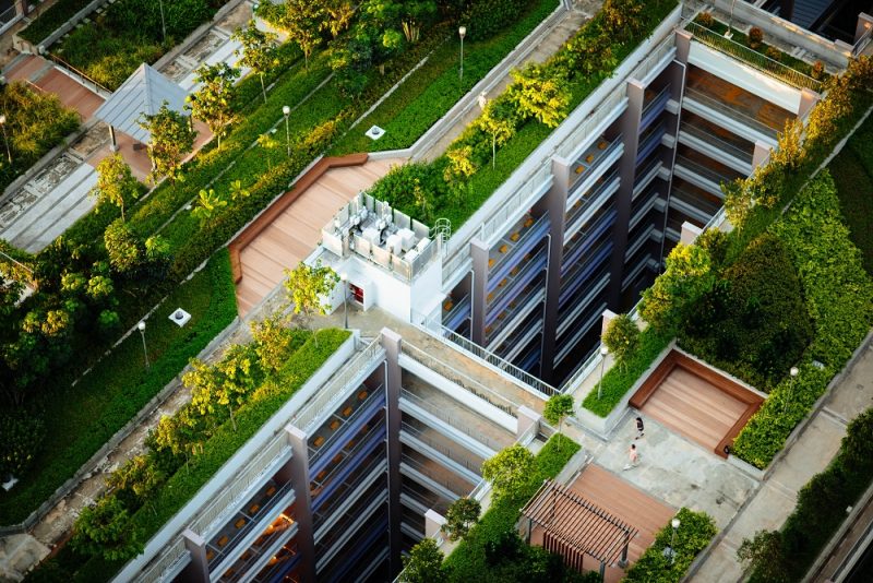 Blog - Using XPS Foam to Insulate Inverted Green Roofs | PLASTEK